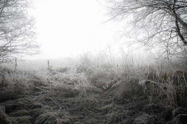 Umgang mit dem Tod - Gewaltfreie Kommunikation Fulda und Bad Hersfeld